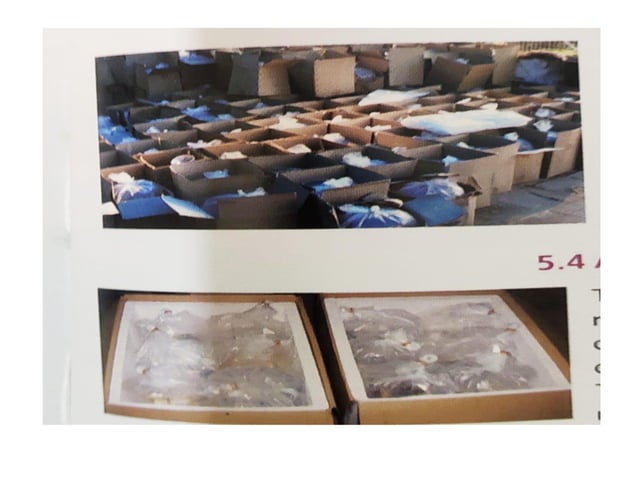 Conditioning and packaging of ornamental fish for transportation.pdf