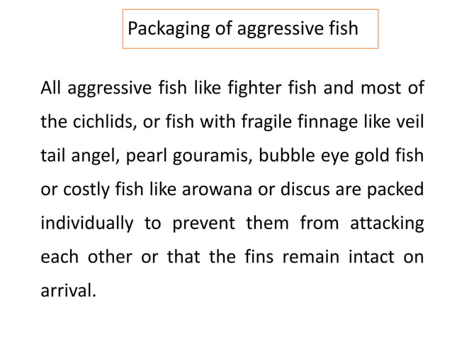 Conditioning and packaging of ornamental fish for transportation.pdf