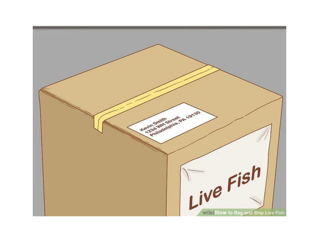 Conditioning and packaging of ornamental fish for transportation.pdf
