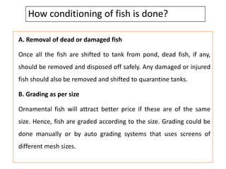 Conditioning and packaging of ornamental fish for transportation.pdf
