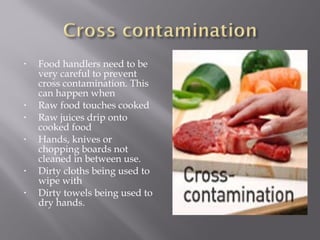 Conditions for bacterial growth | PPT