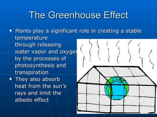 4 Conditions For Life On Earth | PPT