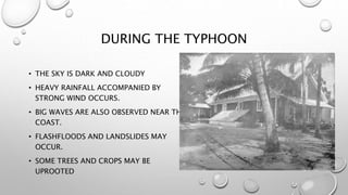 Conditions of the environment before, during, | PPTX