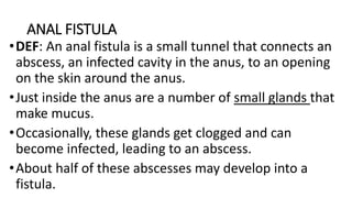 CONDITIONS OF THE RECTUM AND ANAL CANAL.pptx | Digestive Disorders ...
