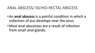 CONDITIONS OF THE RECTUM AND ANAL CANAL.pptx | Digestive Disorders ...