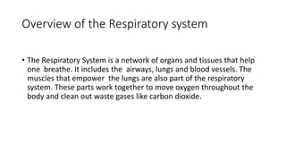 Conditions of the Respiratory system & Nursing care plan.pptx