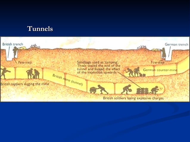 Conditions Of War Trench Warfare | PPT | Death, Injury, or Military ...
