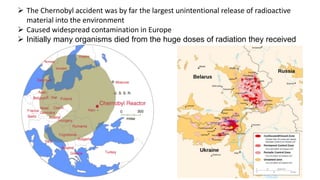 Condition, survivial and reproduction of barn swallows from chernobyl ...