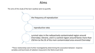 Condition, survivial and reproduction of barn swallows from chernobyl ...