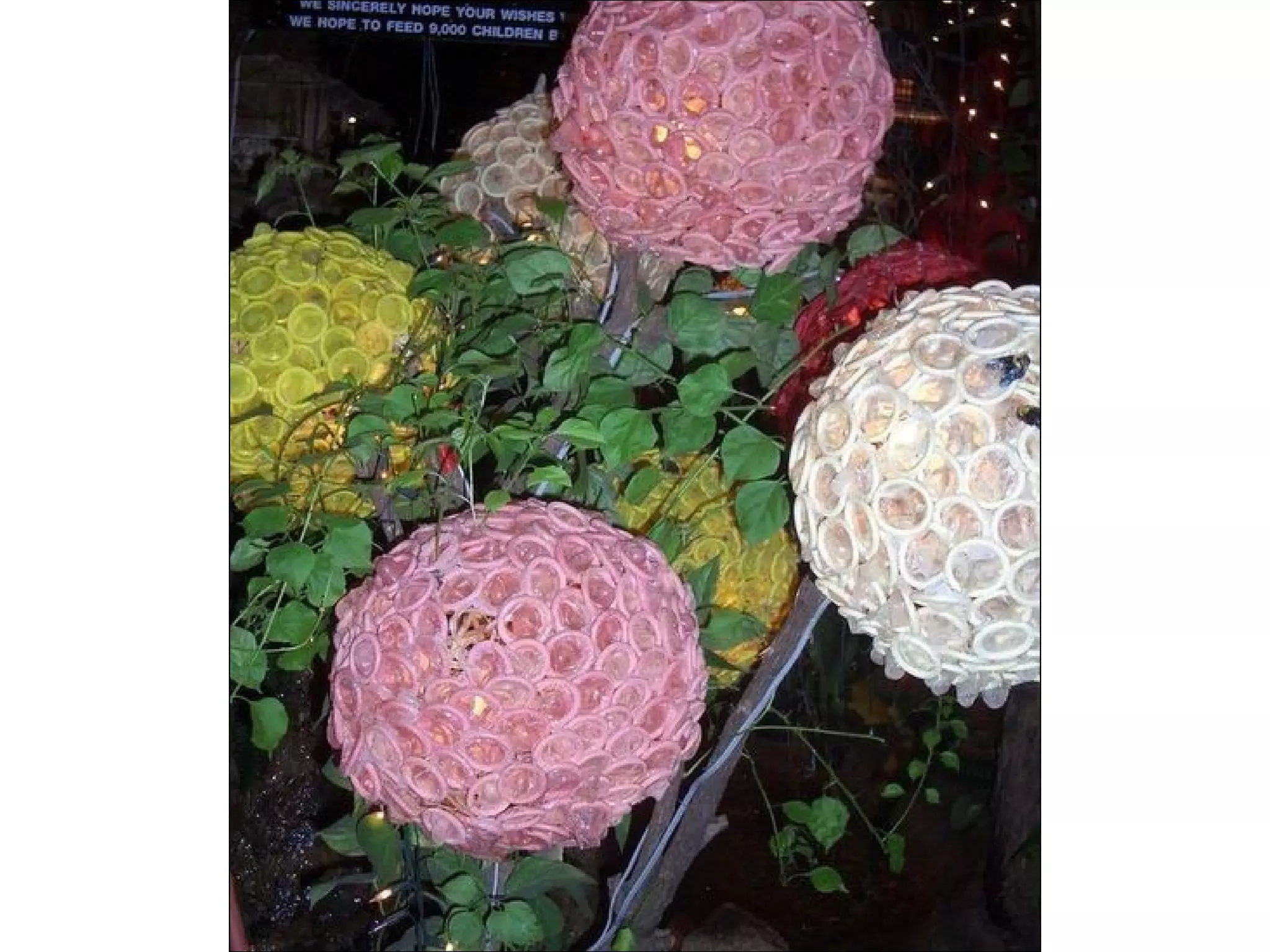 Condom Flowers | PPT