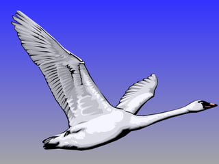 Condor pasa english lesson | PPT