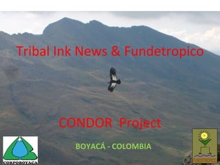 Condor Project | PPT