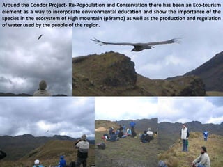 Condor Project | PPT