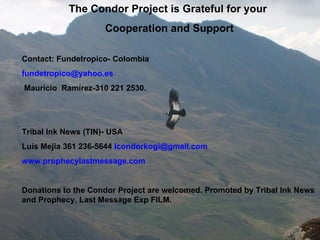 Condor Project | PPT