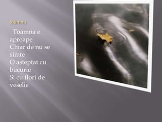 toamna | PPTX