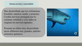 Condrictios | PPTX
