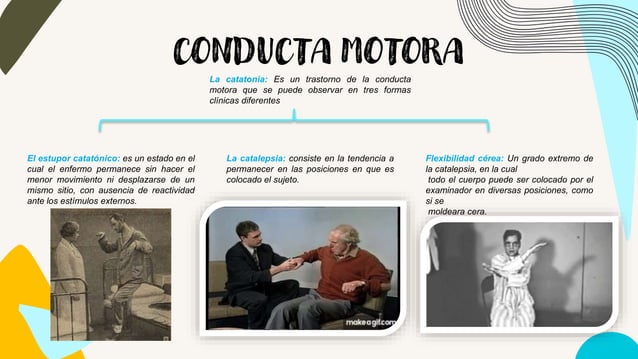 Conducta motora, introspeccion y prosteccion.pptx
