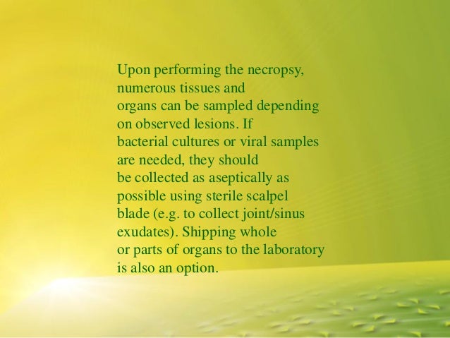 Conducting a necropsy.pdf