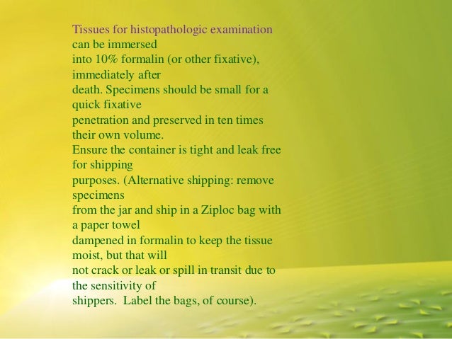 Conducting a necropsy.pdf