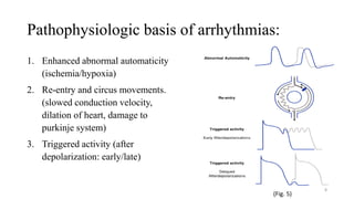 Conducting system of heart and ventricular arrhythmias | PPT