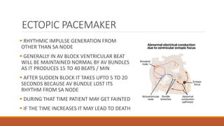 CONDUCTING SYSTEM OF HEART Final.pptx