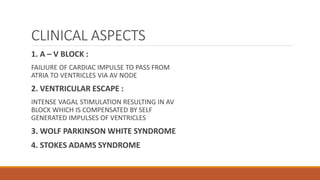 CONDUCTING SYSTEM OF HEART Final.pptx
