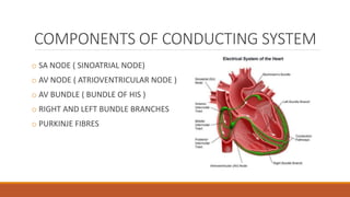 CONDUCTING SYSTEM OF HEART Final.pptx