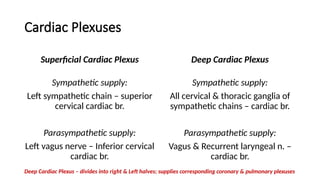 Conducting System of Heart Nerve Supply.pptx