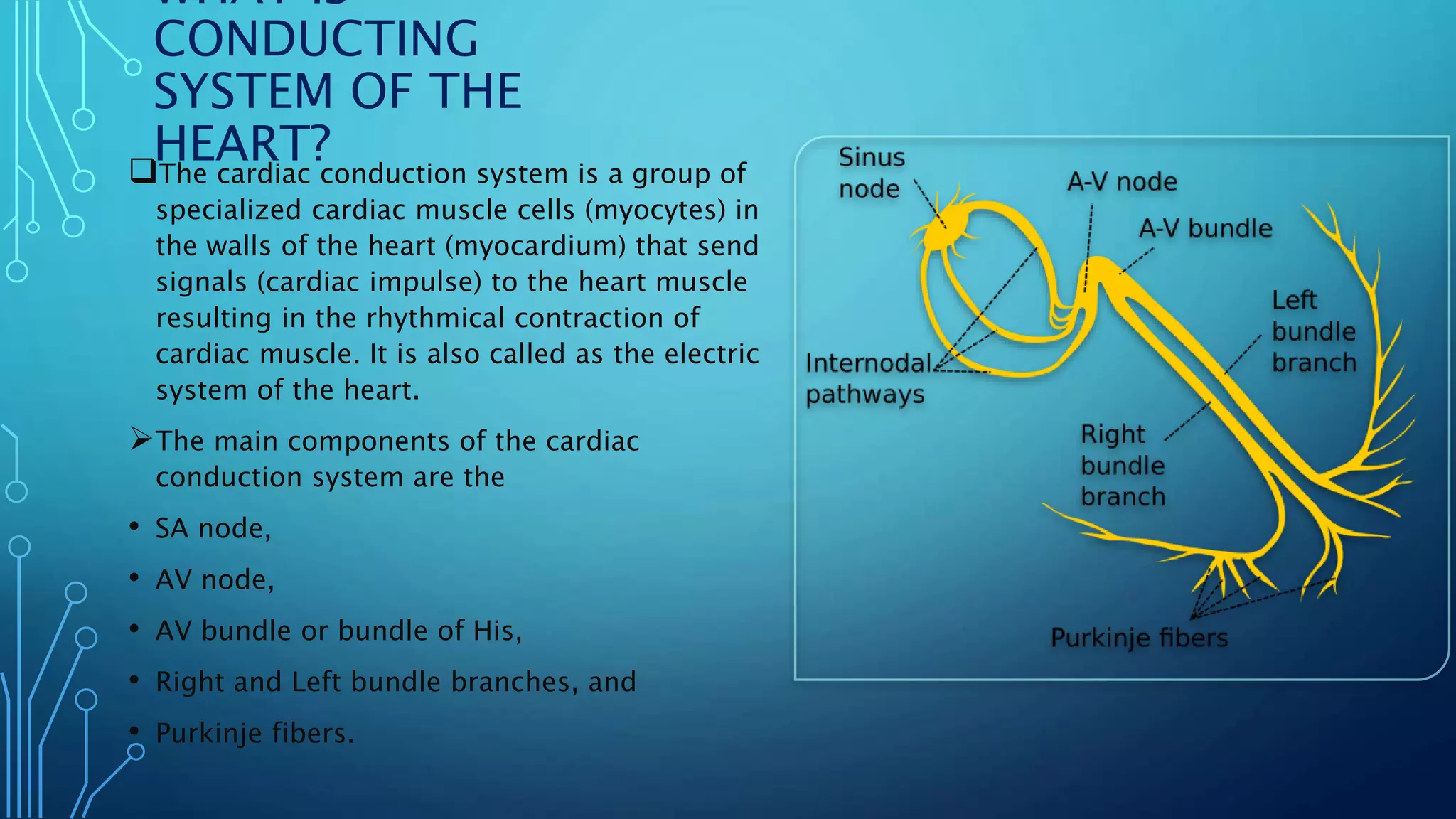 Conducting system of the heart | PPTX