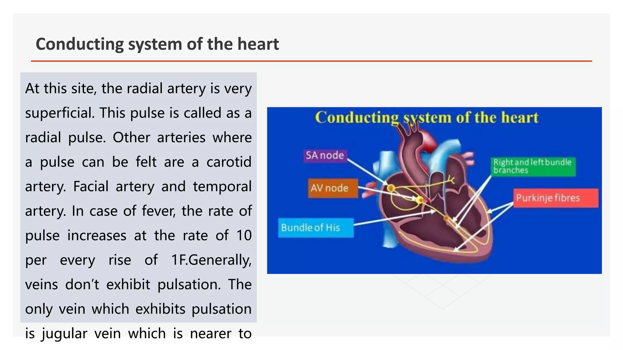 Conducting system of the heart | PPTX