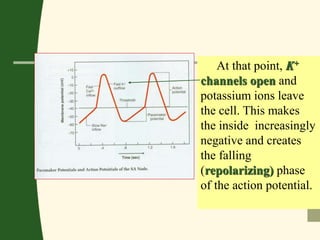 Conducting system of the heart dentistry hb2 dr magdi | PDF