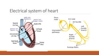 Conduction abnormalities | PPTX