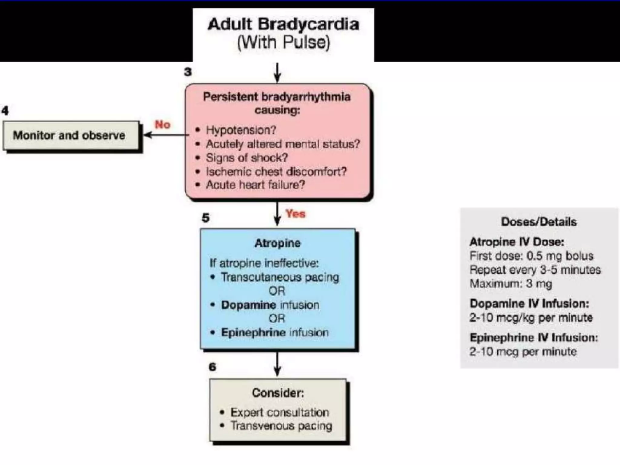 Conduction Disorders | PPTX