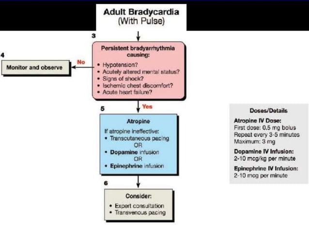 Conduction Disorders | PPTX | Heart and Cardiovascular Diseases ...