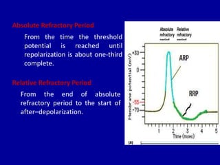 Conduction of action potential | PPSX