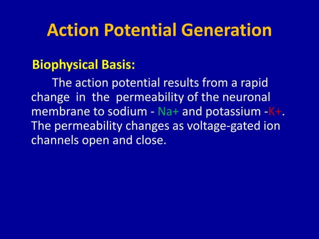 Conduction of action potential | PPSX | Computer Networking | Computing