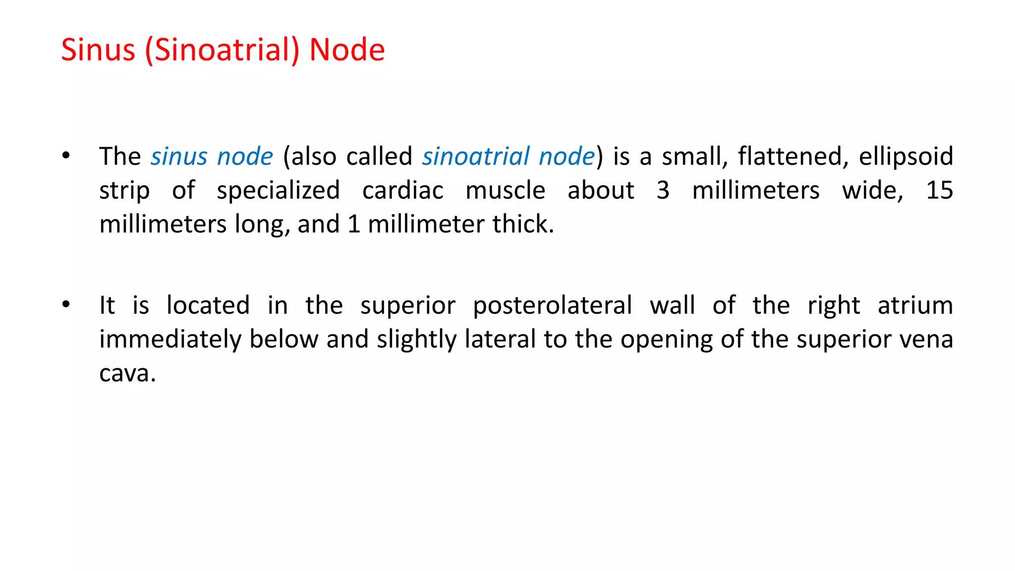 Conduction system of the heart | PPTX