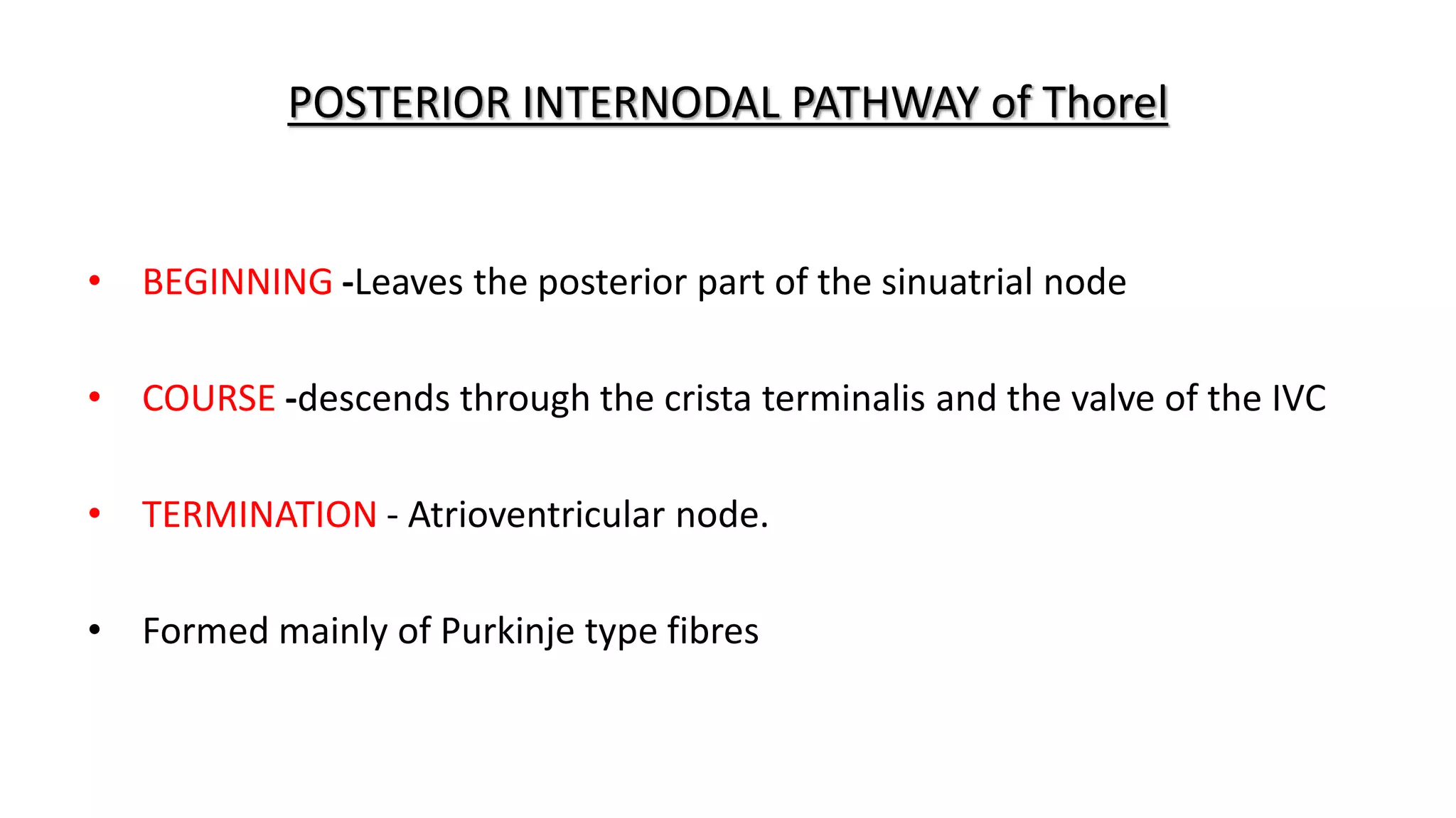 Conduction system of the heart | PPTX