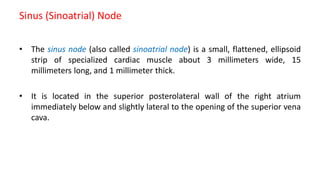 Conduction system of the heart | PPTX