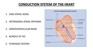 Conduction system of the heart | PPTX