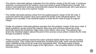 Conduction system | PPT
