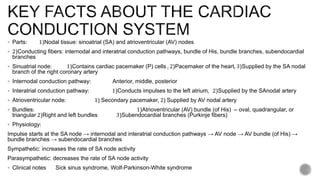 Conduction system | PPT