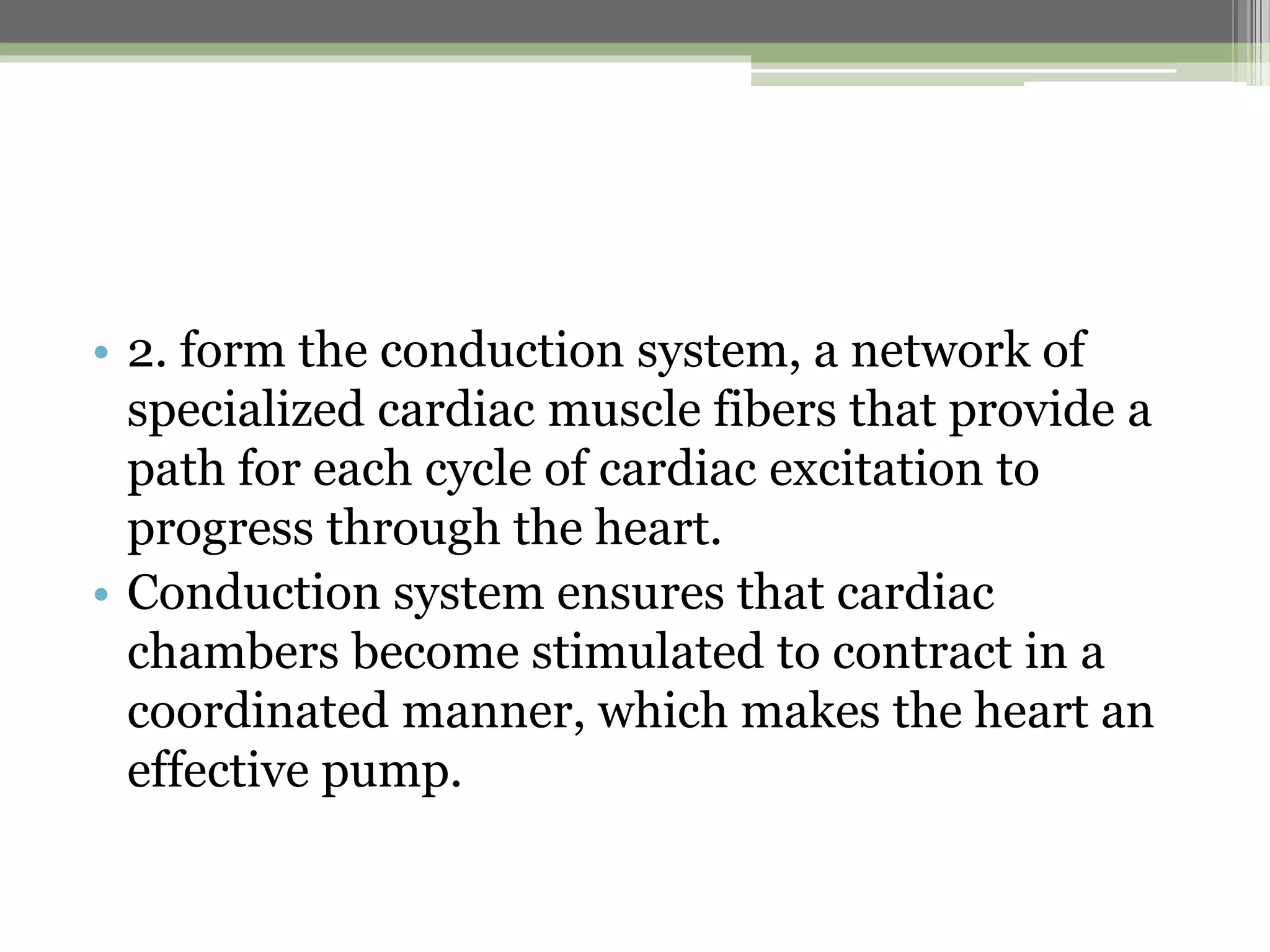 Conduction system and ecg | PPTX
