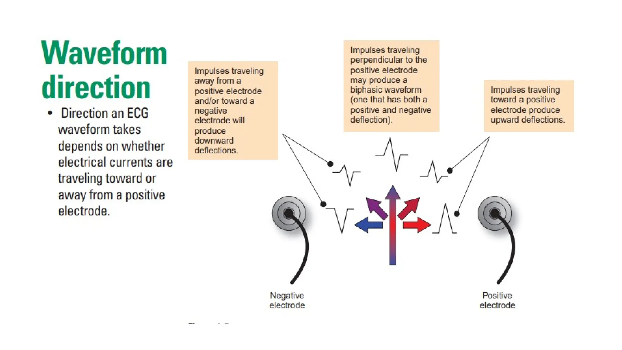 conduction system and electrophysiology of heart -venba.pptx
