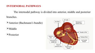 conduction system and electrophysiology of heart -venba.pptx