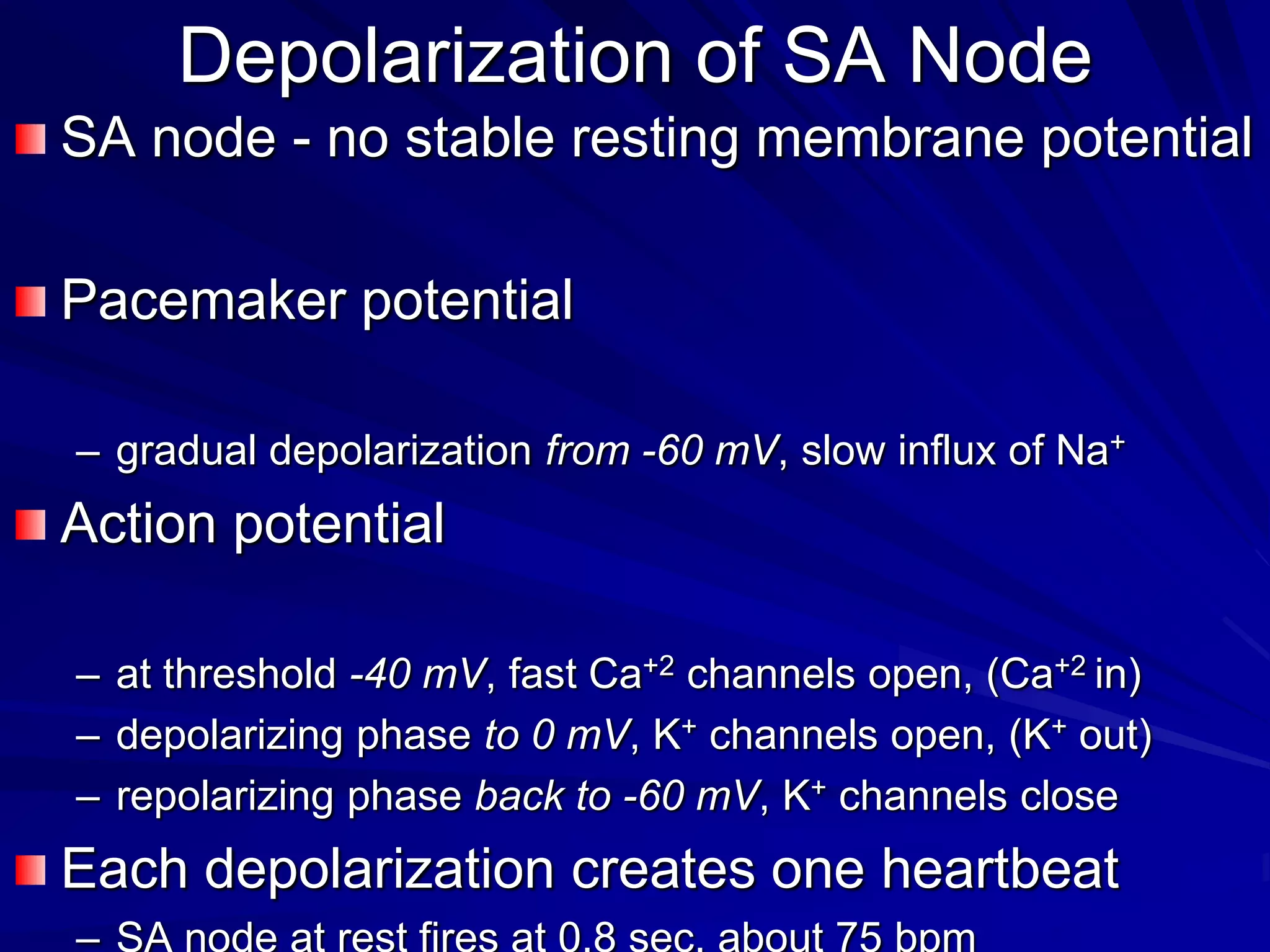 Conduction system of heart | PPTX