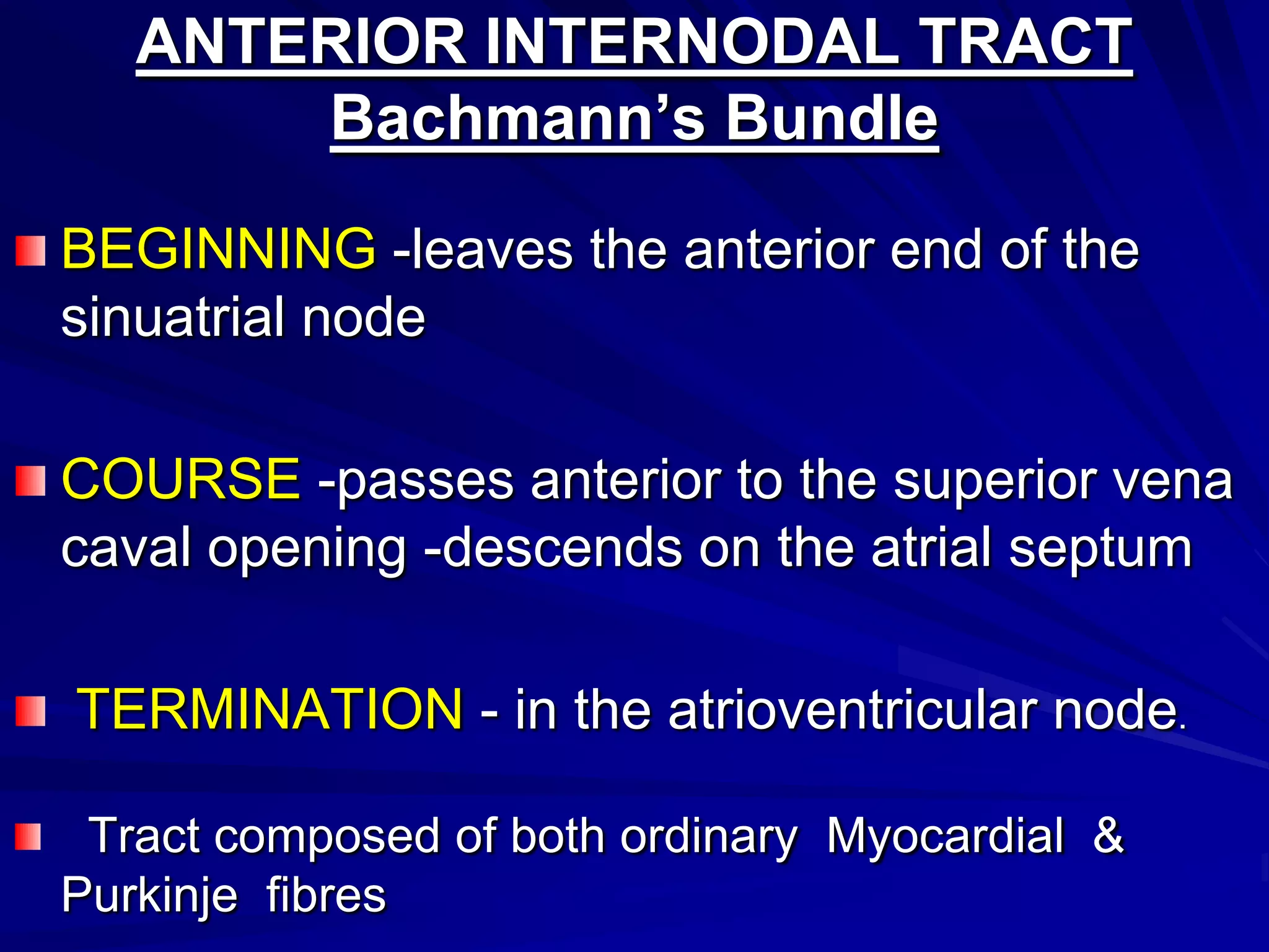 Conduction system of heart | PPTX