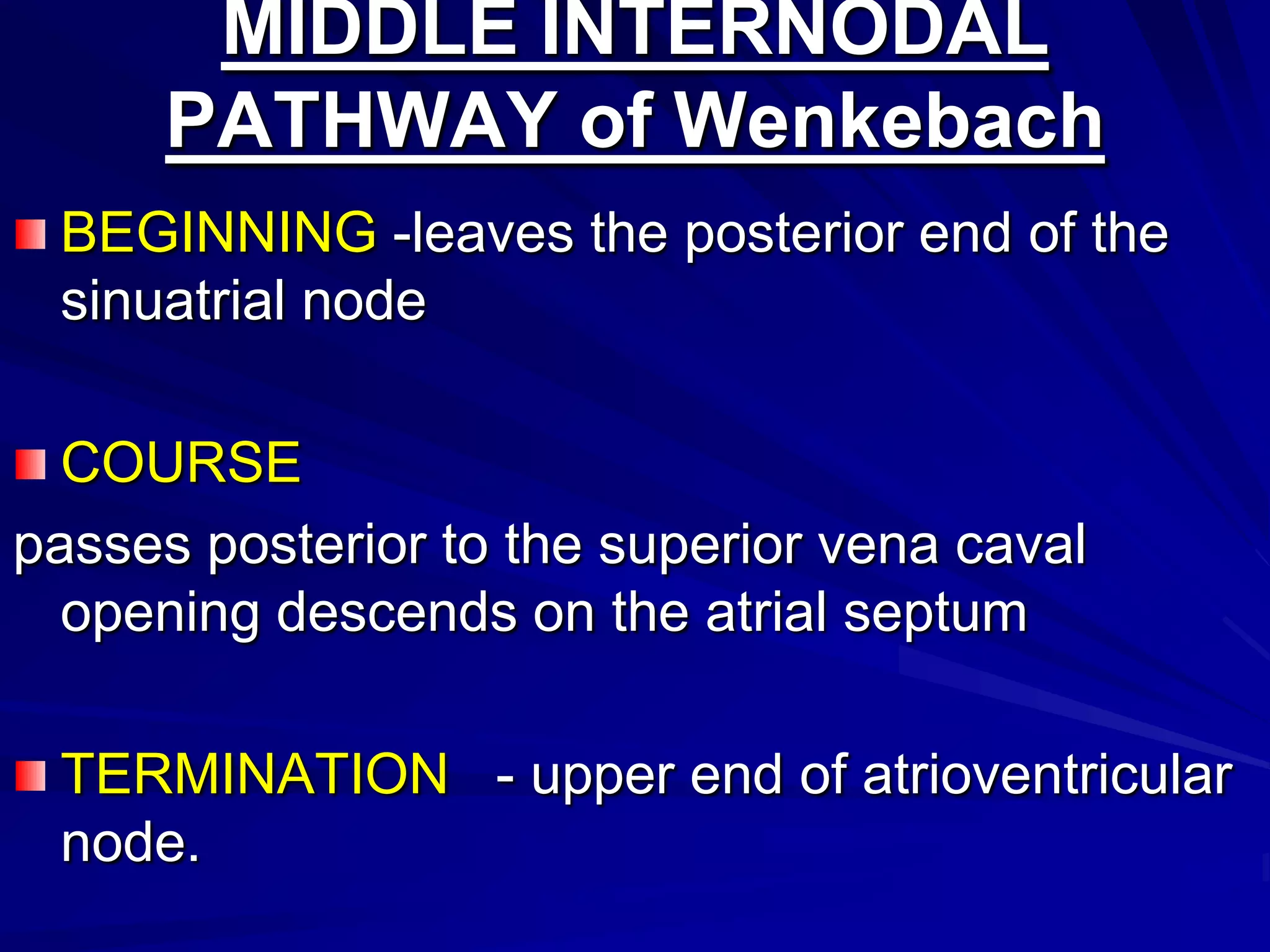 Conduction system of heart | PPTX