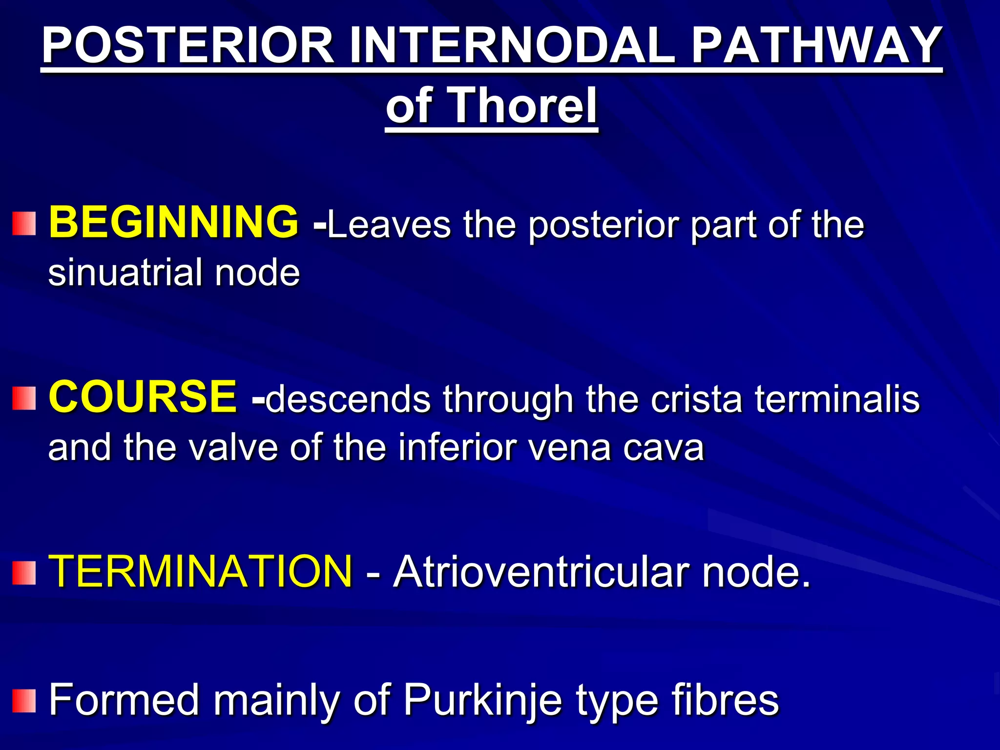 Conduction system of heart | PPTX