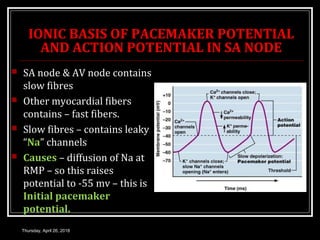 CONDUCTION SYSTEM OF HEART | PPT